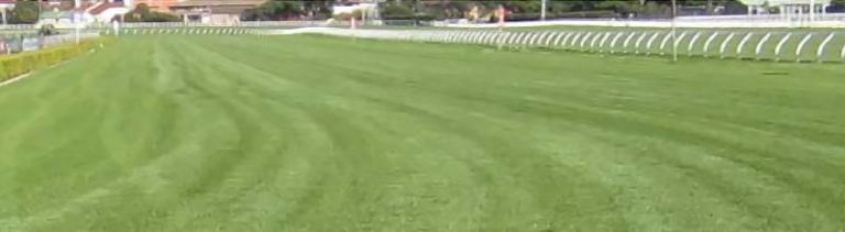 Eureka Kikuyu Turf - Earl's Turf - Mid North Coast Turf Supplies